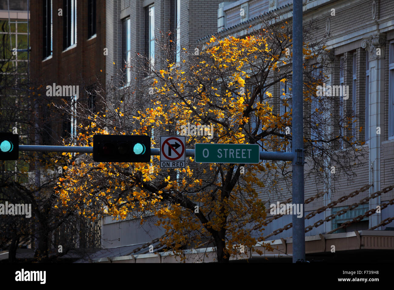 Yellow leaves on a tree behind a stoplight and sign Stock Photo - Alamy