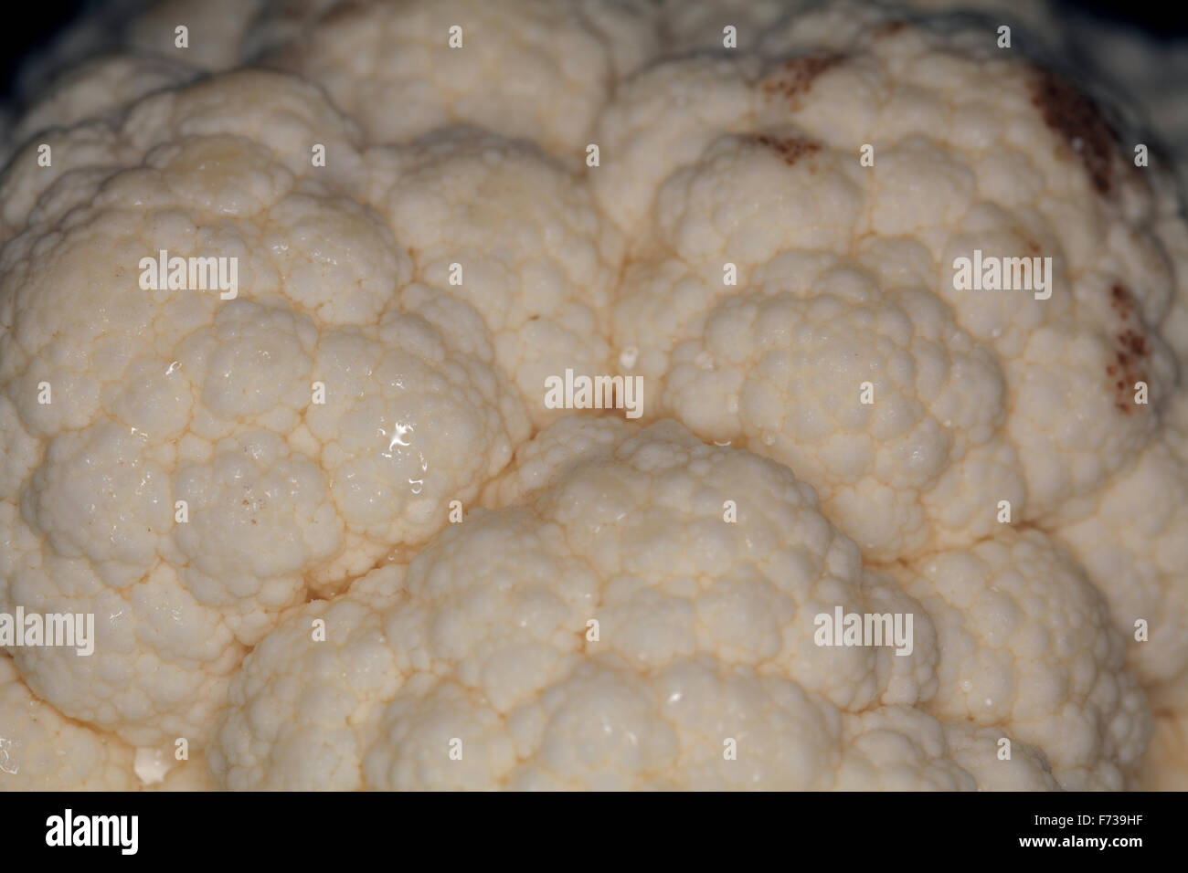 Cauliflower floret closeup Stock Photo - Alamy