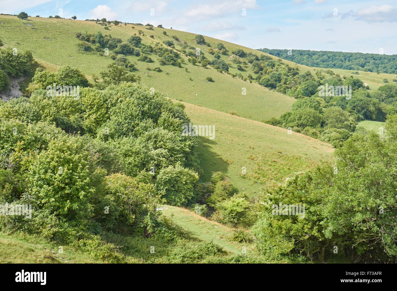 Ditchling Beacon The South Downs National Park East Sussex England ...