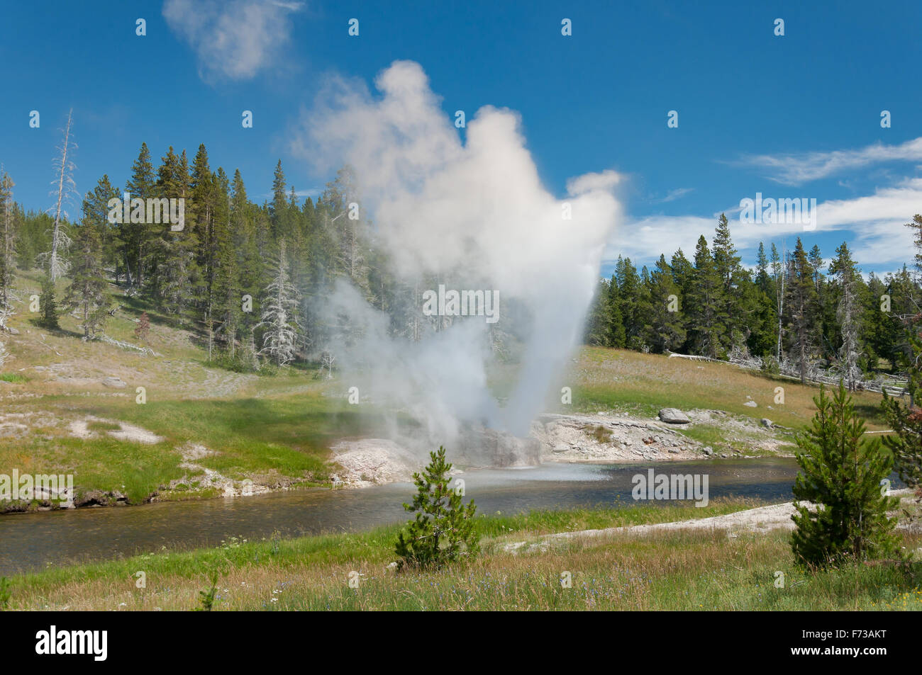 Eruption of the Riverside Geyser Stock Photo - Alamy