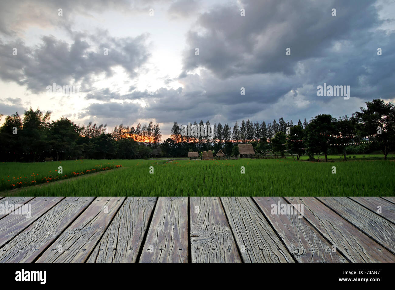 wooden floor with rice in paddy field background Stock Photo - Alamy