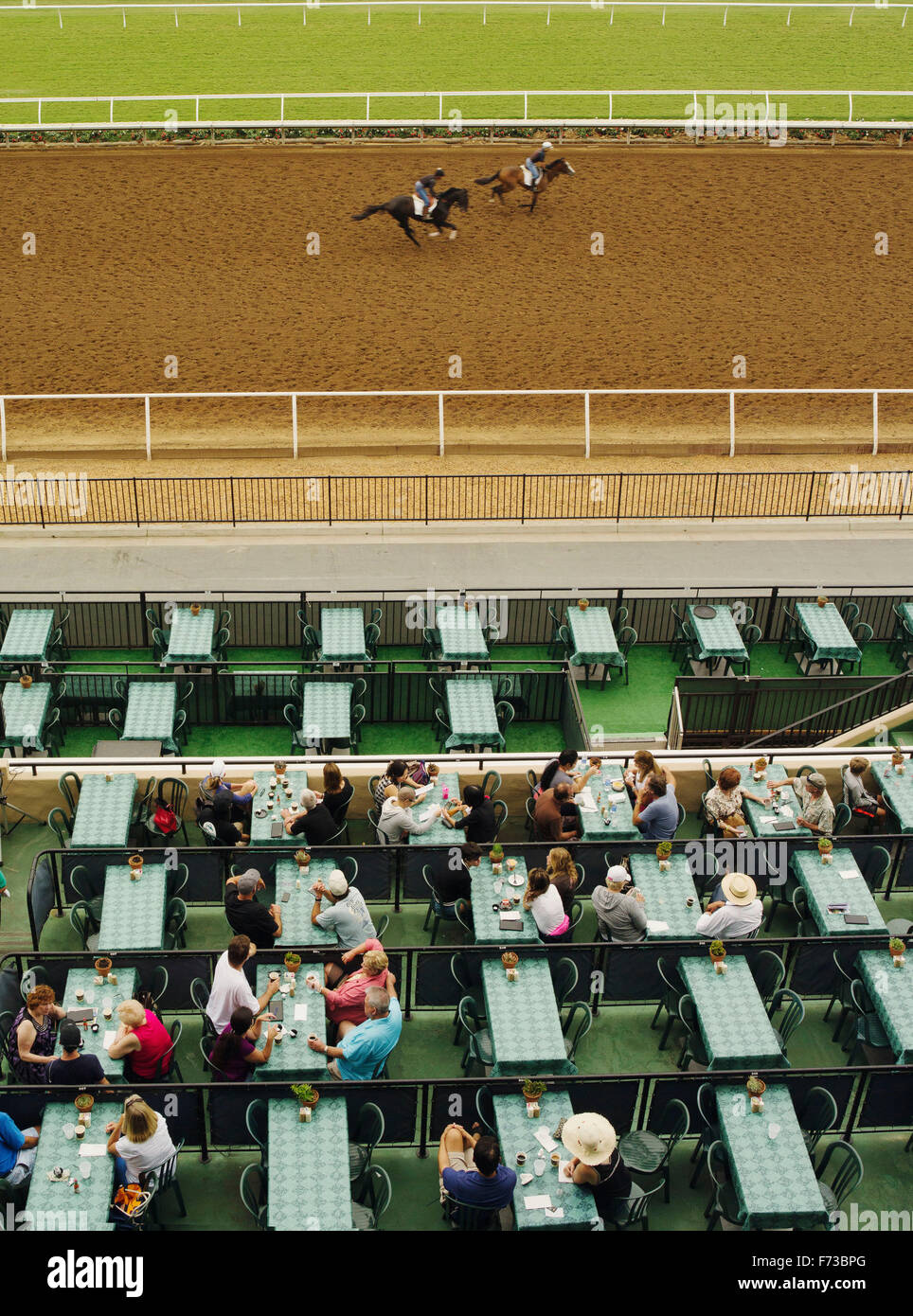 Running racecourse hi-res stock photography and images - Alamy