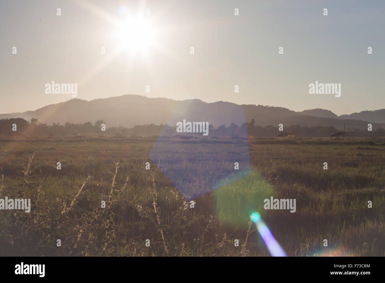 Sunrise and field with lens flare, stock photo Stock Photo - Alamy