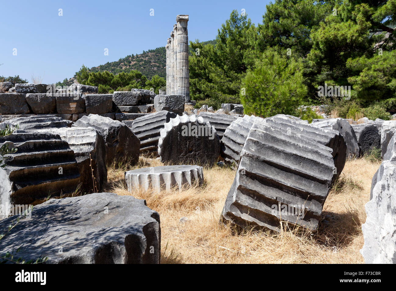 Temple of Athena, with ionics columns remains in Priene an ancient ...