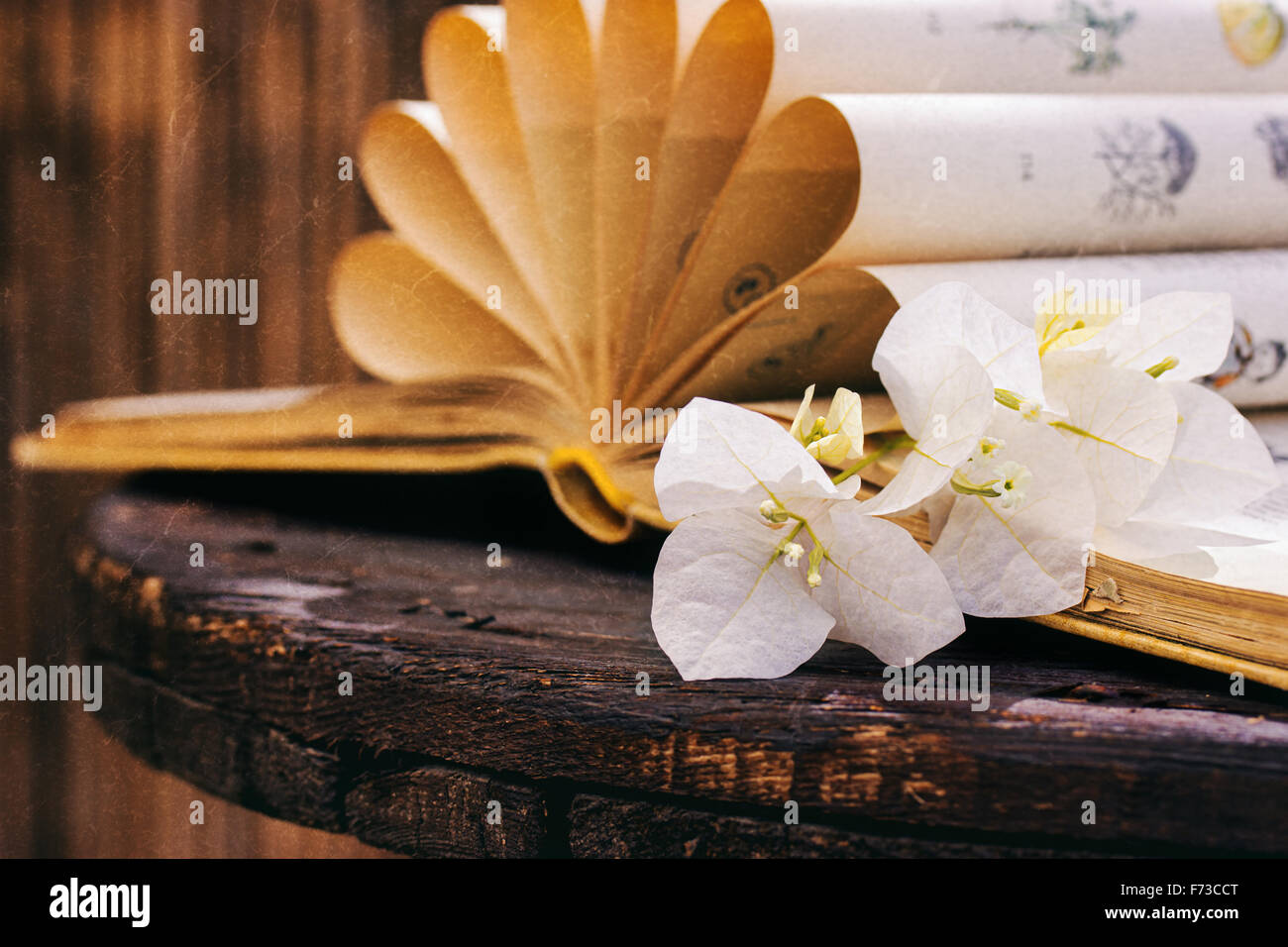 Vintage pages of a book with flower/ nostalgic vintage style Stock ...