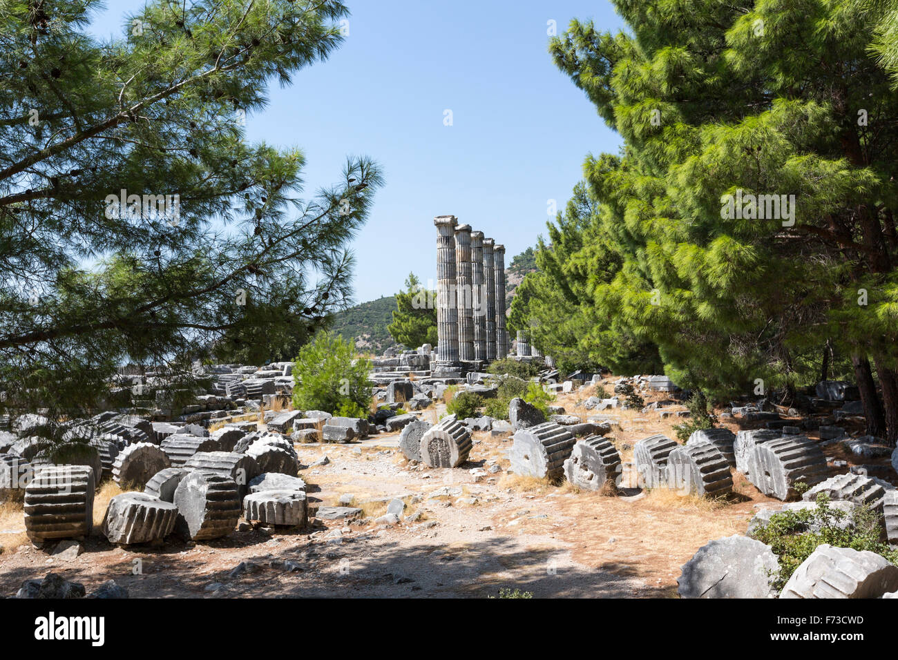 Temple of Athena, with ionics columns remains in Priene an ancient ...