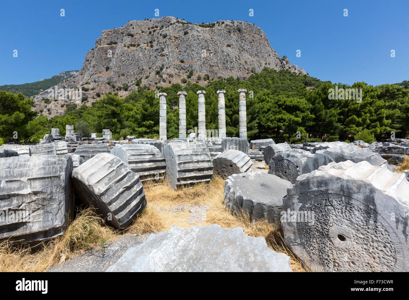 Temple of Athena, with ionics columns in Priene an ancient Greek city ...