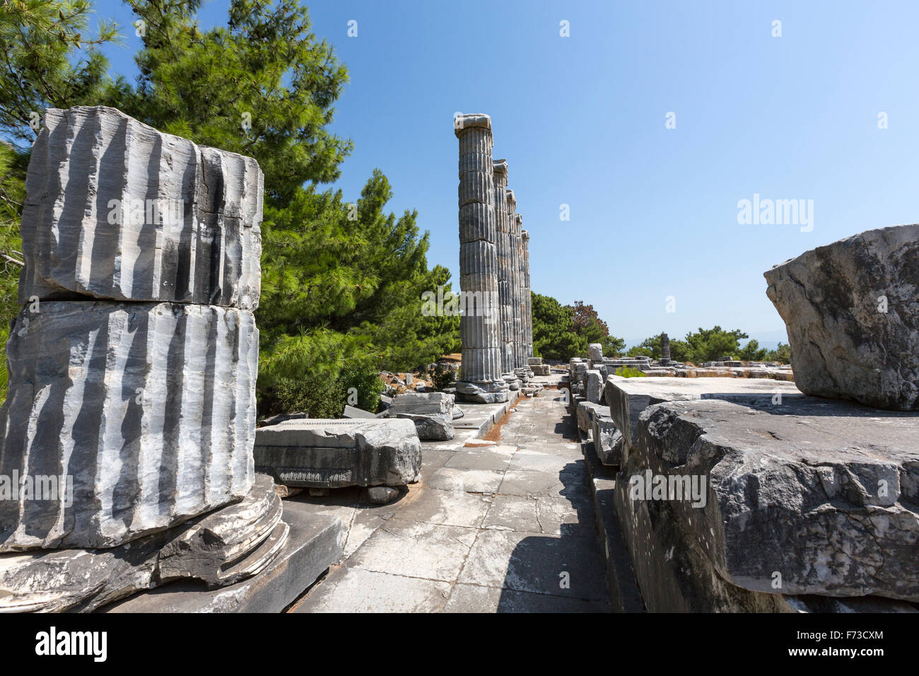 Columns of the Temple of Athena. Priene an ancient Greek city of Ionia ...
