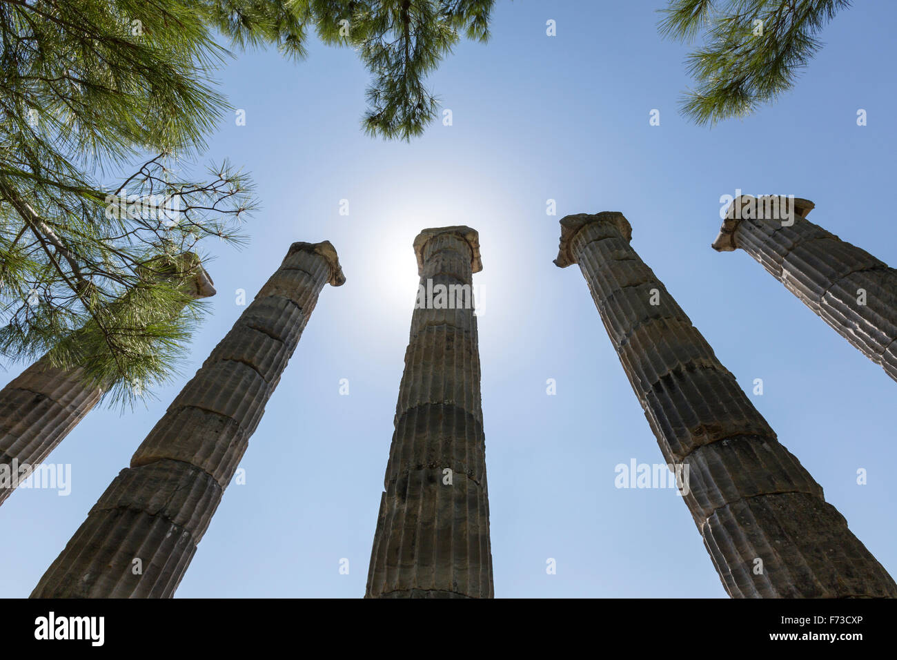 Five ionic columns of the Temple of Athena. Priene an ancient Greek ...