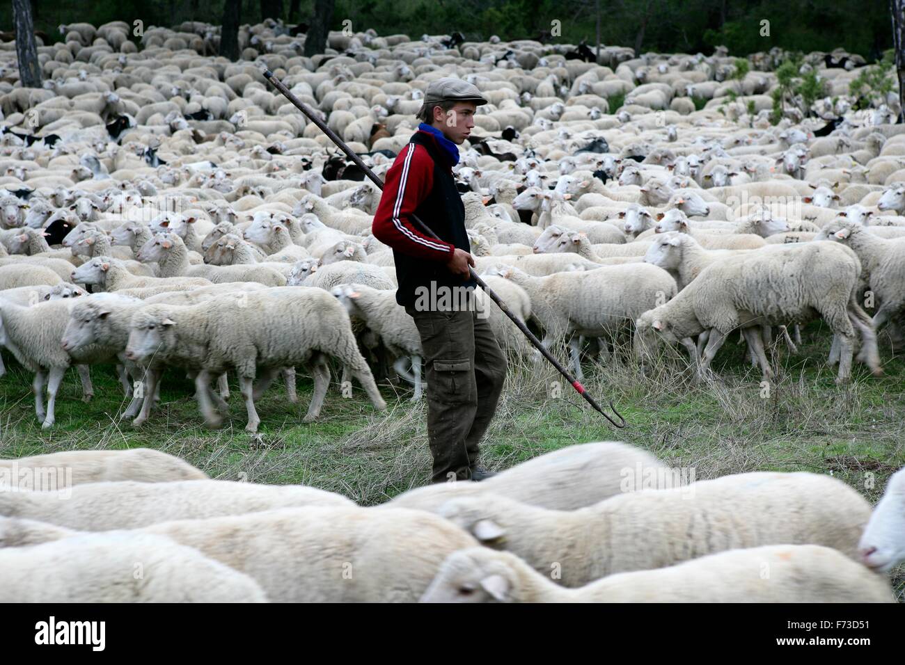 Shepherds Hook With Sheep