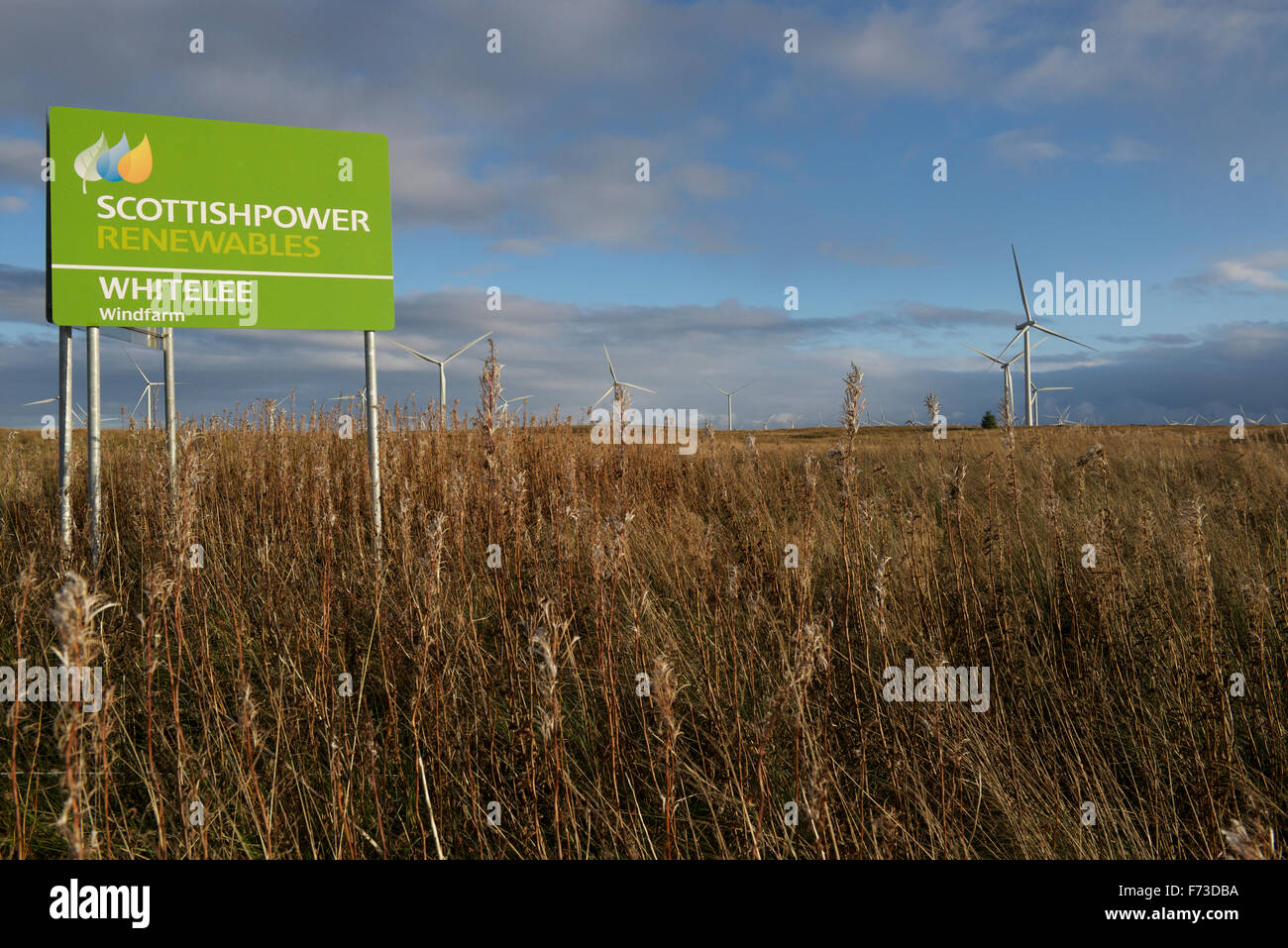 Wind turbines at Whitelee Wind Farm Stock Photo - Alamy