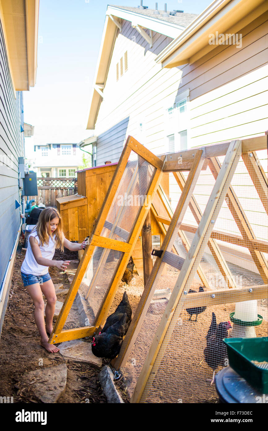 From small, homemade structures to large, elaborate homes, chicken ...