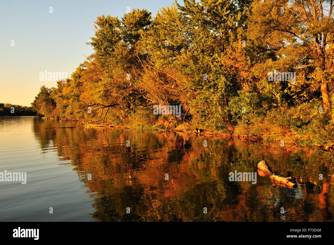 The setting sun shines on on a bank of the Fox River creating a warm ...
