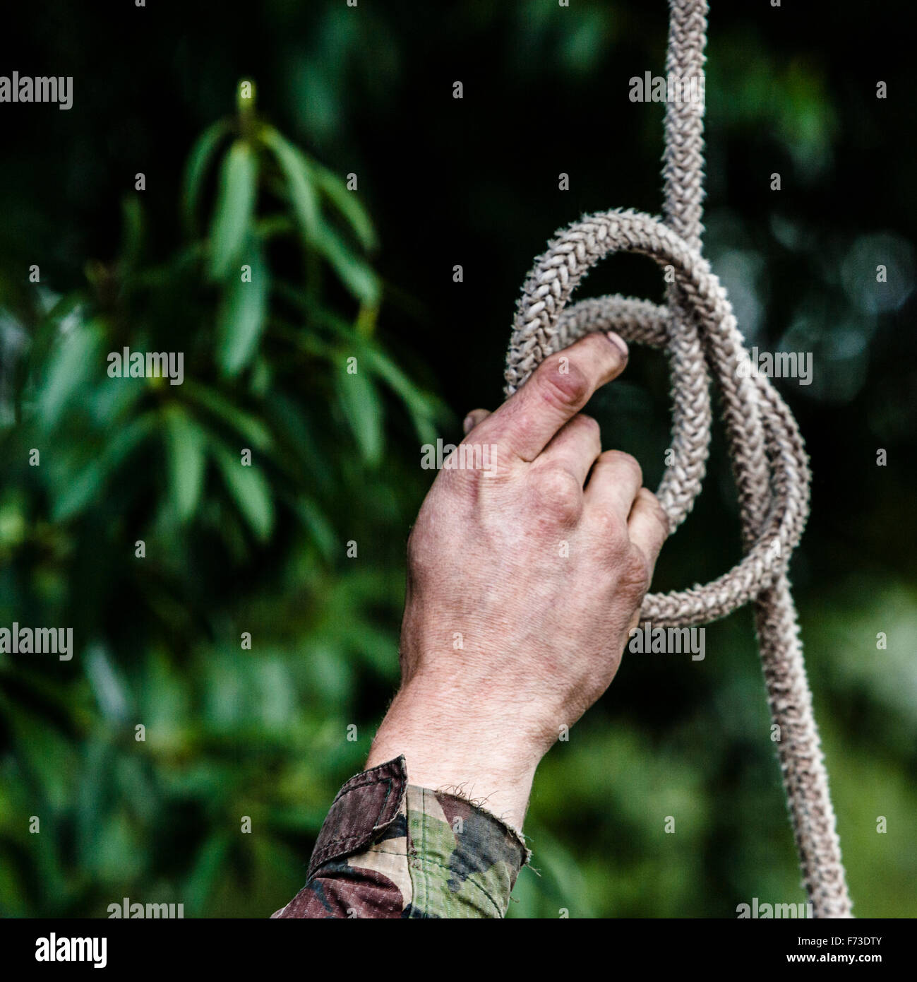 Hand and rope Stock Photo - Alamy