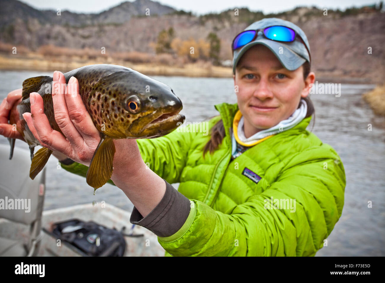 Female brown trout hi-res stock photography and images - Alamy
