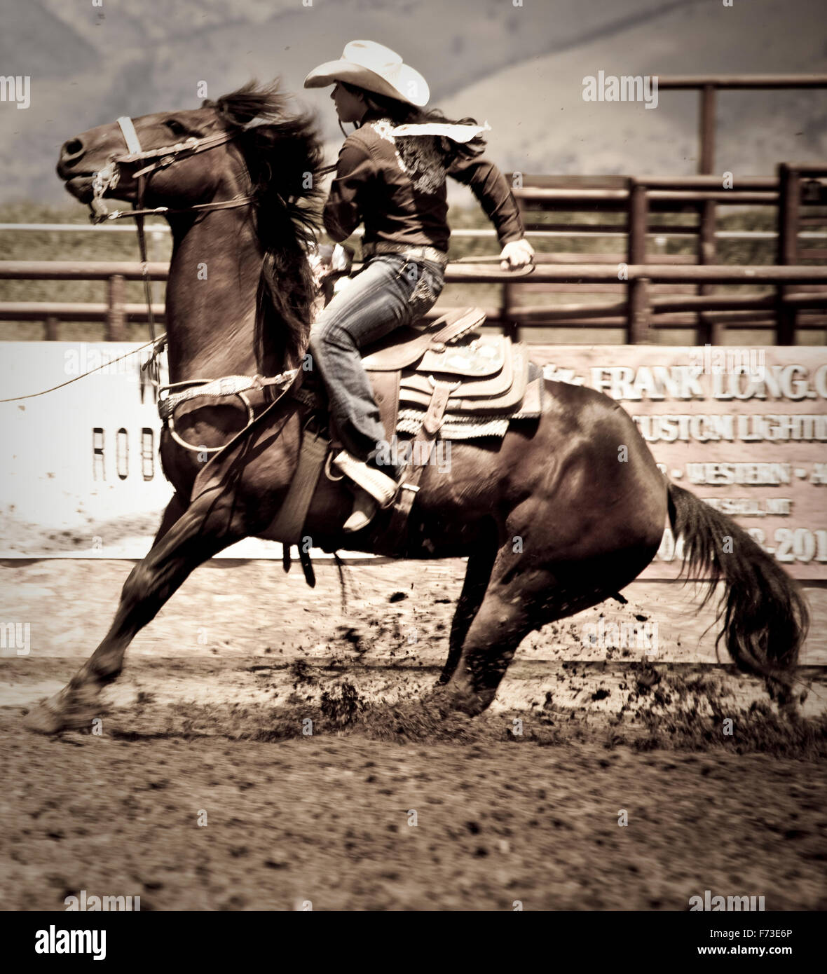 A rodeo cowgirl yanks on her rope Stock Photo - Alamy