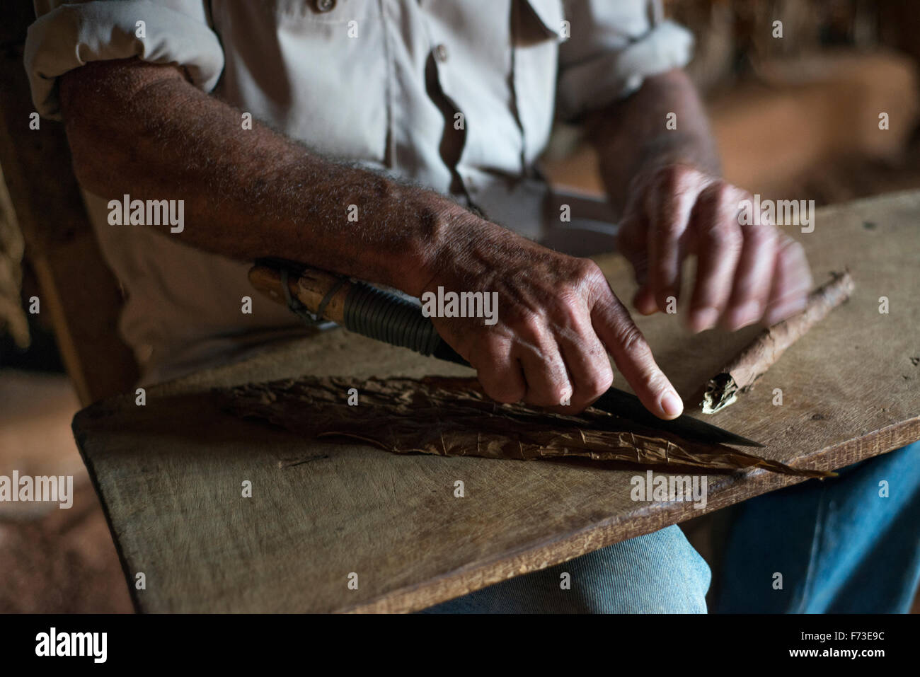 Hand holding cigar hi-res stock photography and images - Alamy