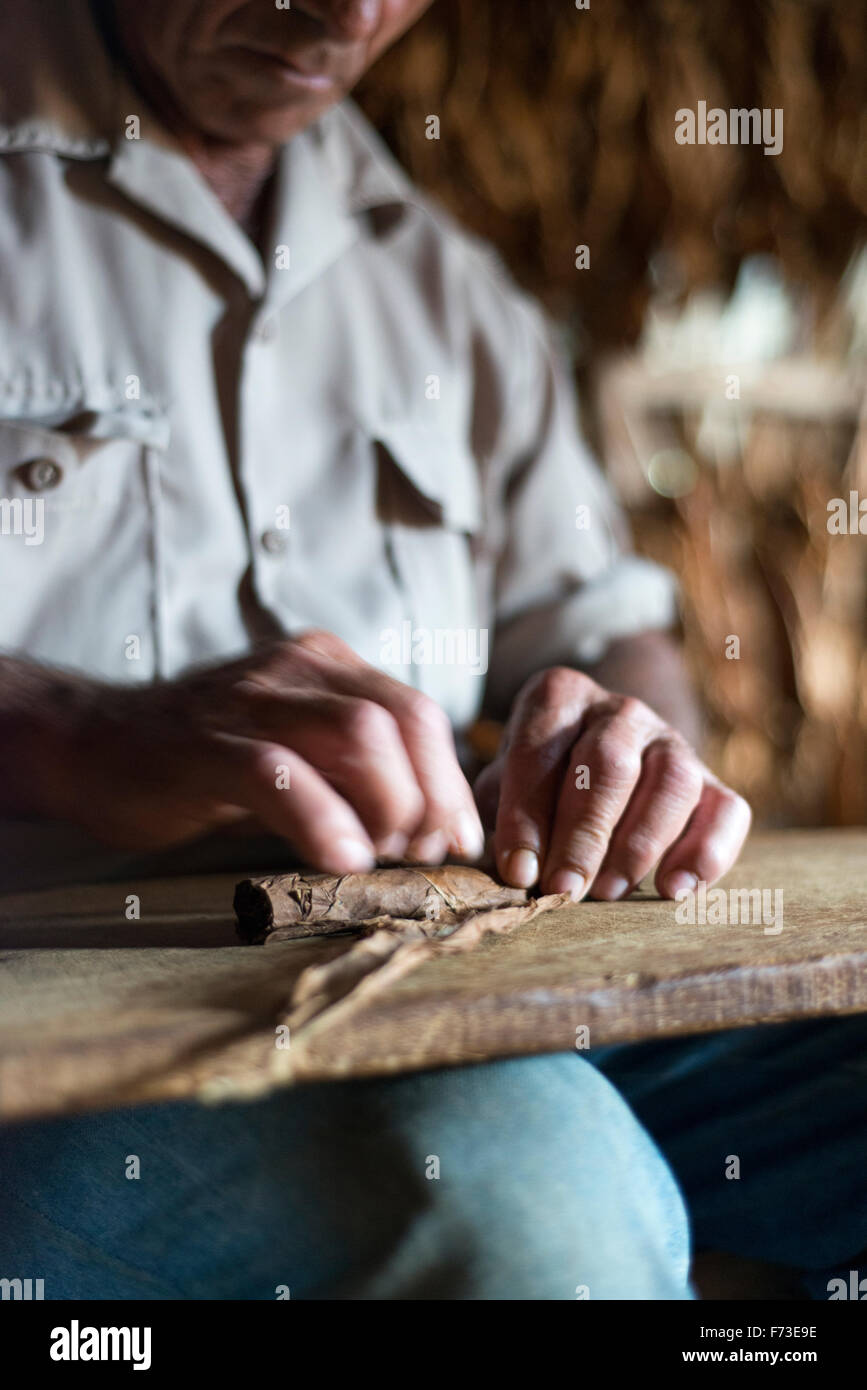 Hand holding cigar hi-res stock photography and images - Alamy