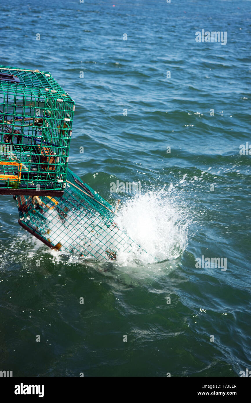 Water traps hi-res stock photography and images - Alamy