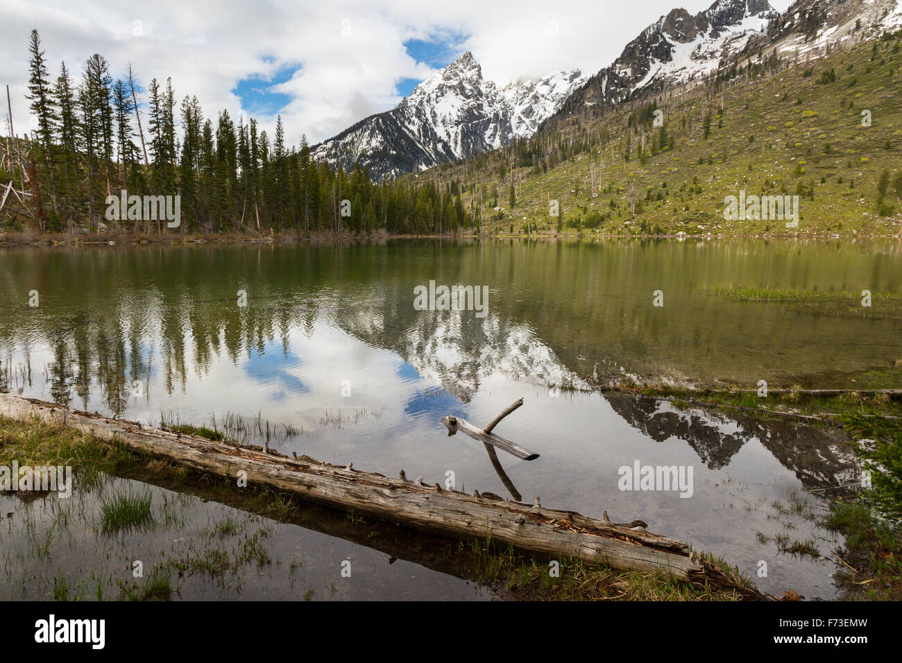 The Teton Mountains reflected in String Lake, Grand Teton National Park ...
