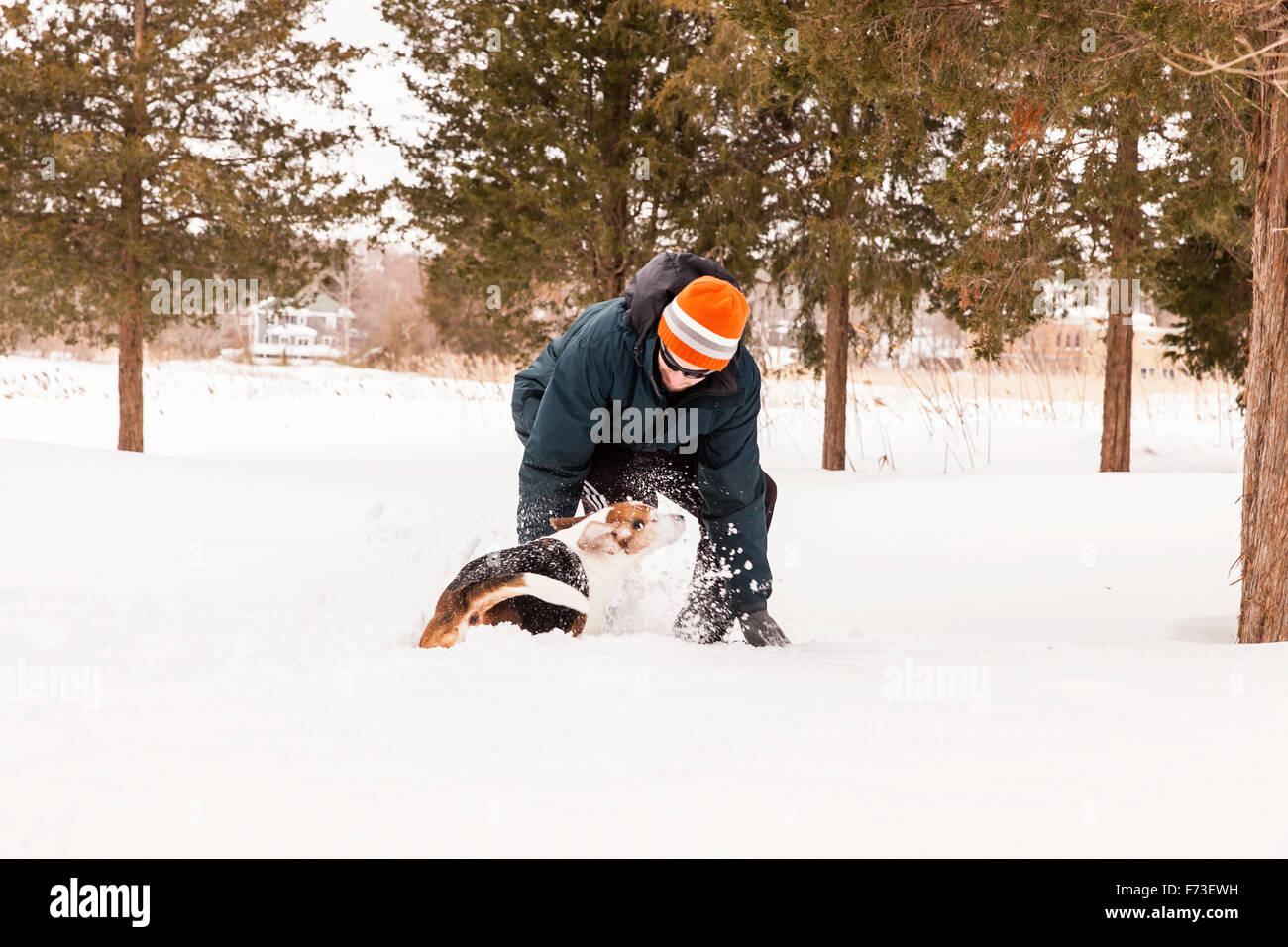 Snowshoer and his dog Stock Photo - Alamy