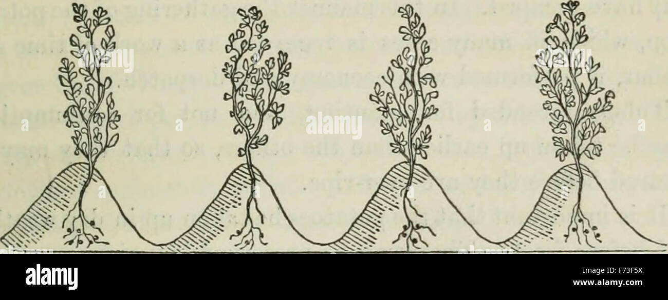 Elements of practical agriculture; comprehending the cultivation of ...