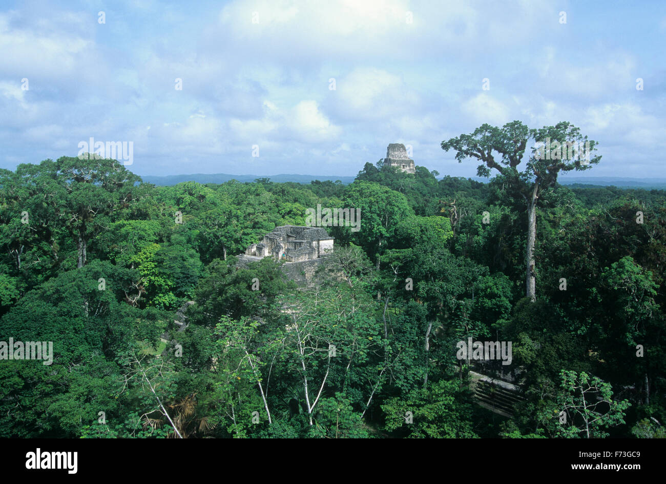View of Temple IV, from Main Pyramid, Tikal, Guatemala Stock Photo - Alamy