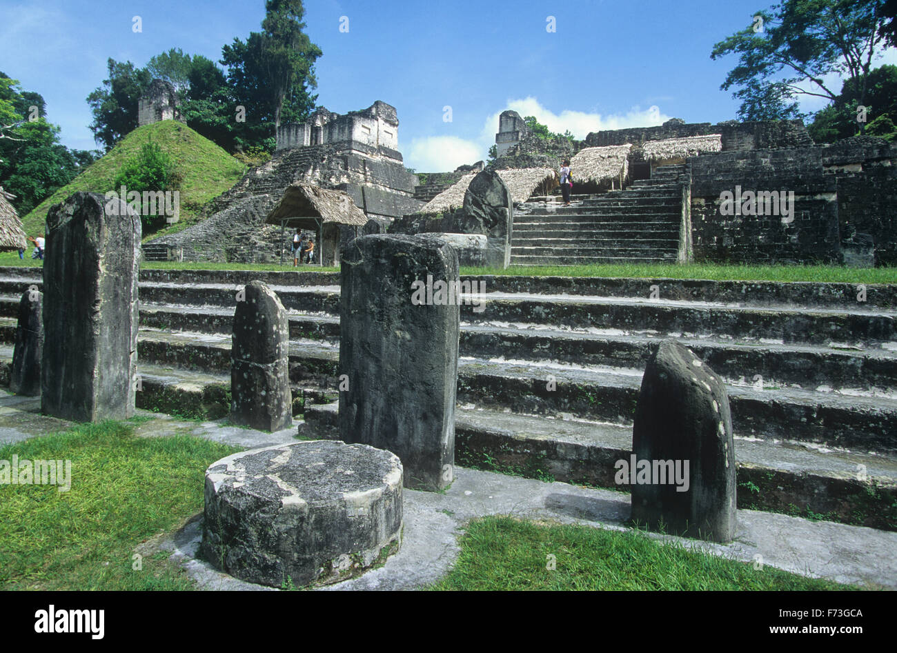 North Acropolis from Great Plaza, Tikal, Guatemala Stock Photo - Alamy