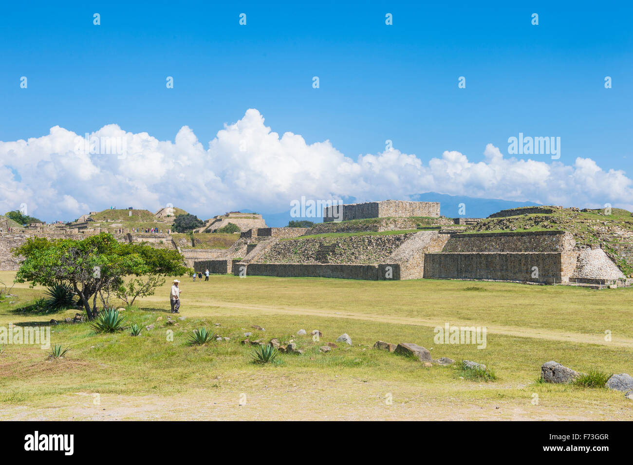 The ruins of the Zapotec city of Monte Alban in Oaxaca, Mexico Stock ...