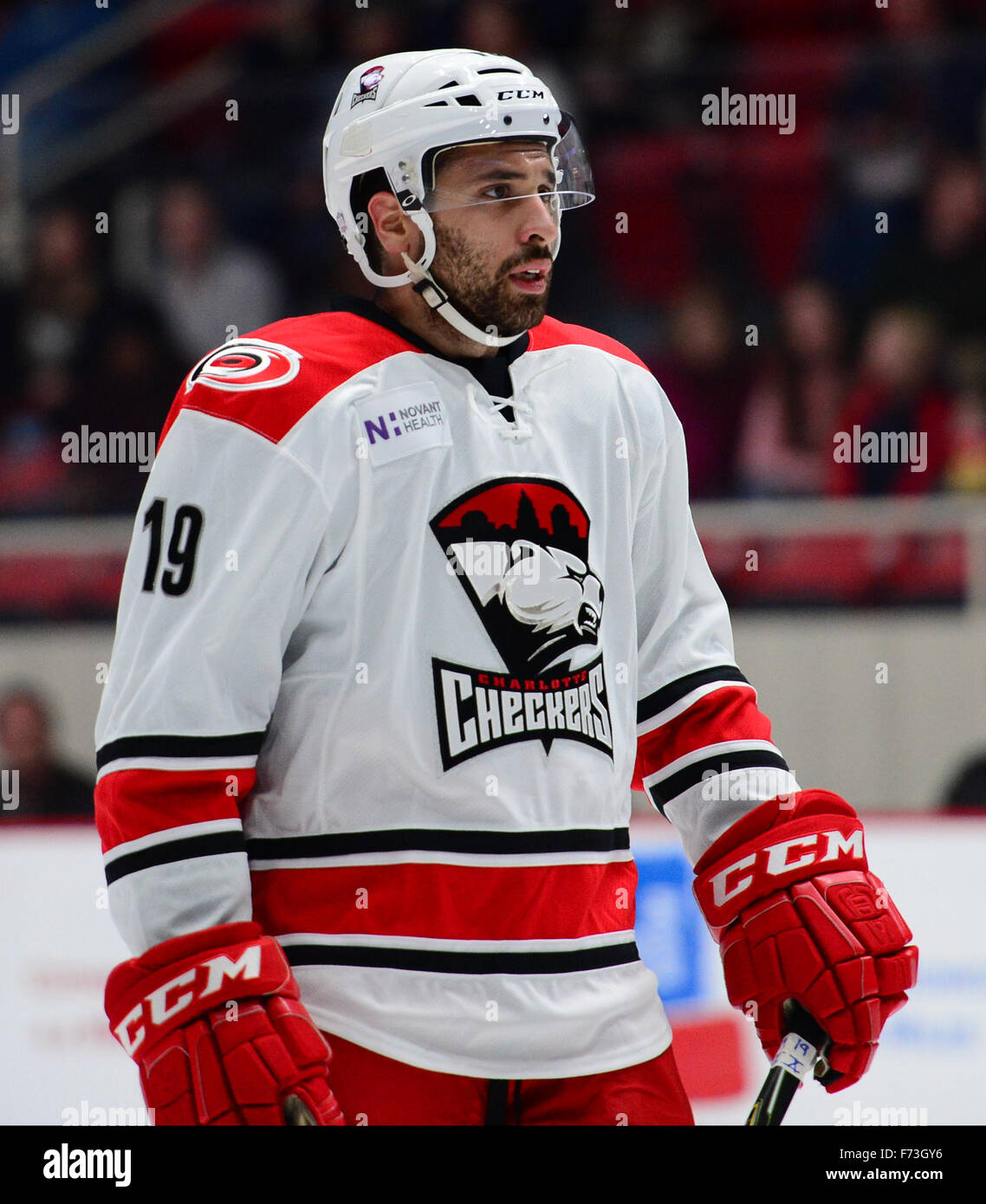 San jose barracuda hi-res stock photography and images - Alamy