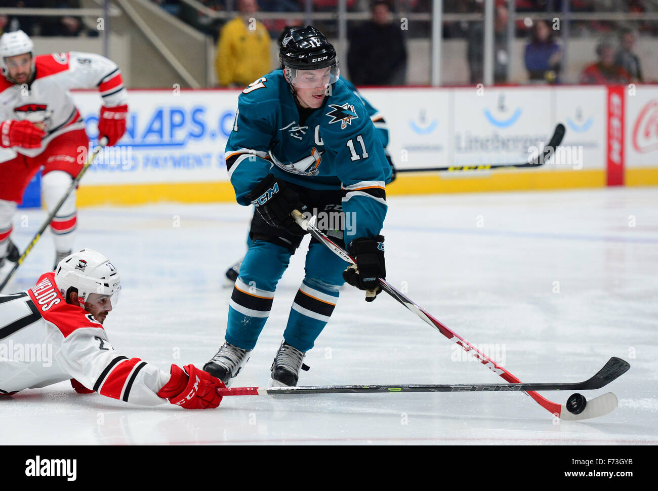 Barracuda LW Bryan Lerg (11) during the AHL game between the San Jose ...