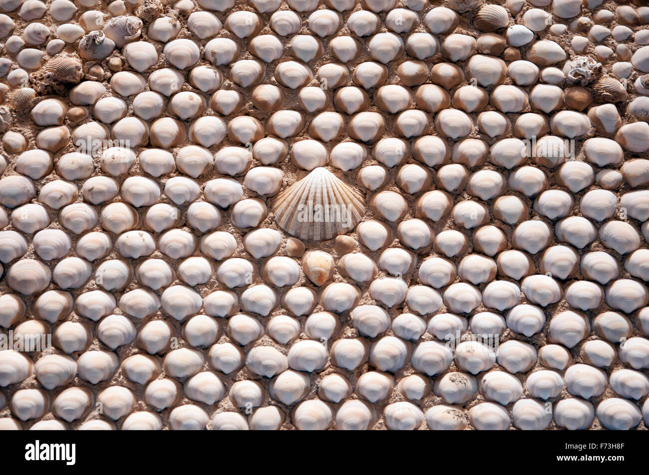 Detail of sea shells covering a facade Stock Photo - Alamy