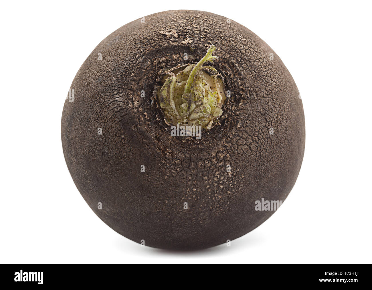 Black big radish vegetable closeup isolated on white Stock Photo - Alamy