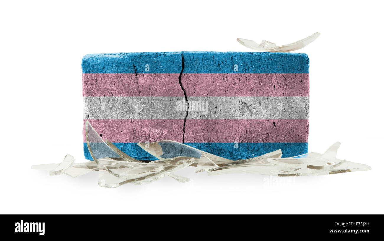 Rough broken brick, isolated on white background, flag of Trans Pride ...
