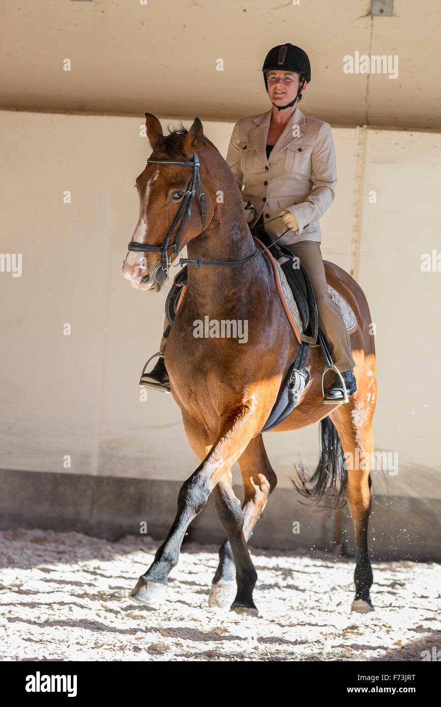 Grand Prix Dressage Horse Half Pass