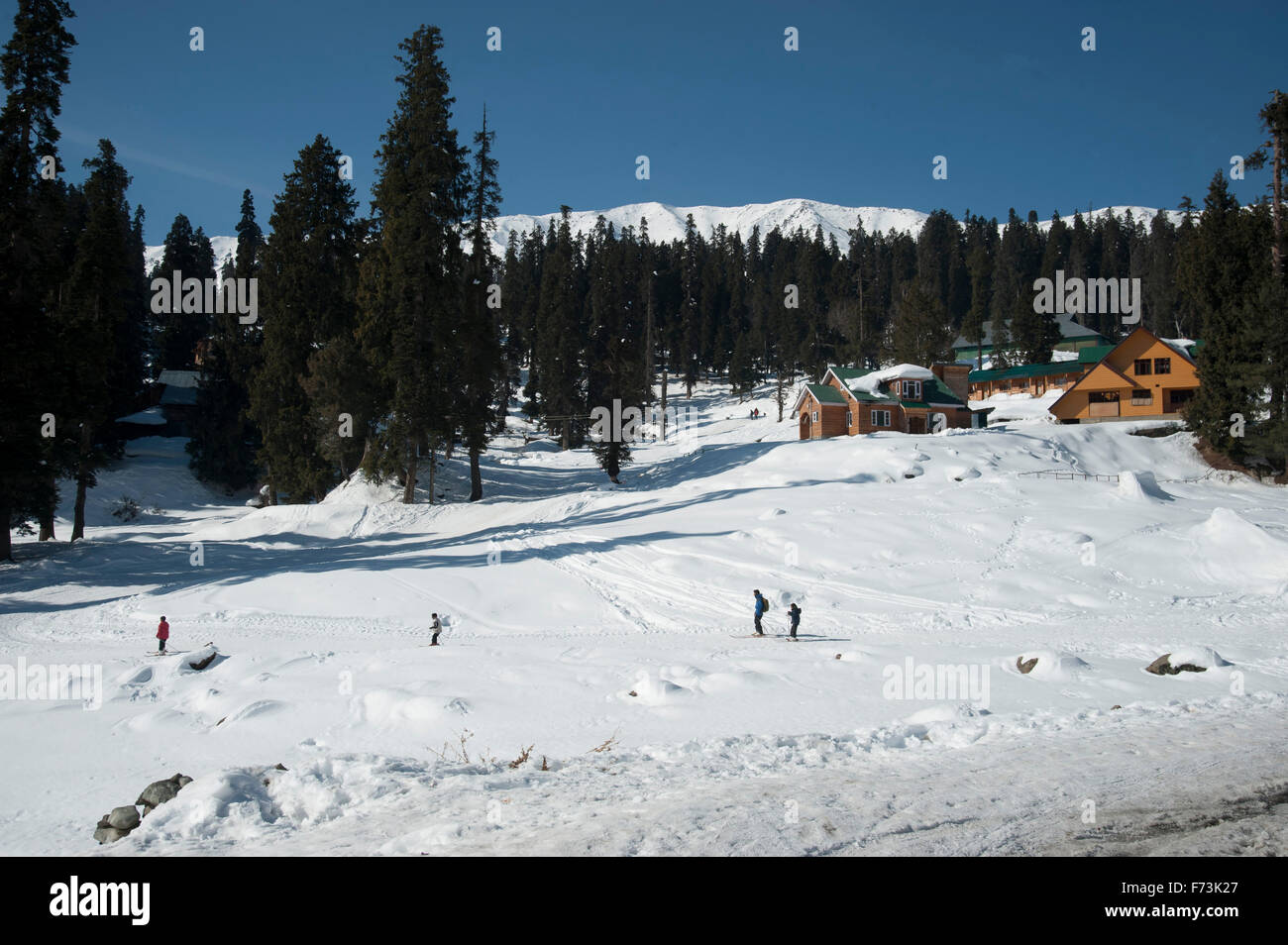 skiing, gulmarg, kashmir, india, asia Stock Photo - Alamy