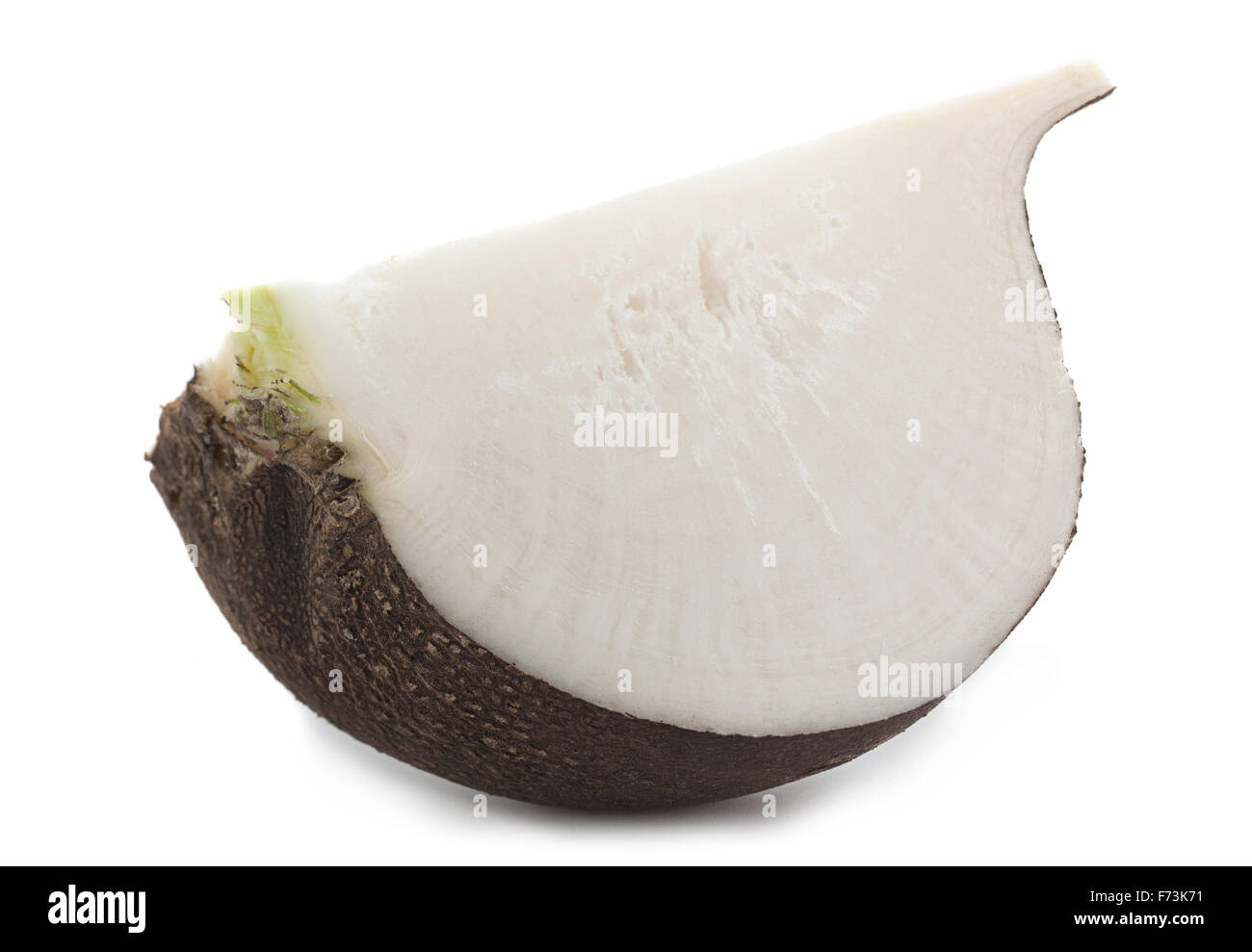 Black big radish slice vegetable closeup isolated on white Stock Photo ...