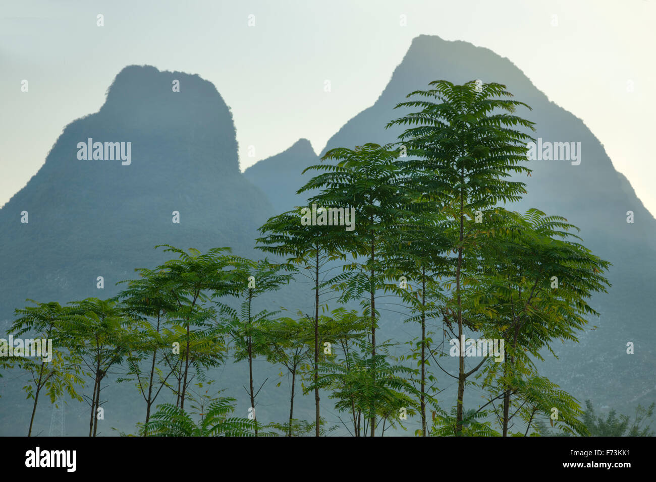 Trees and Limestone Karst Formations Guilin Region Guangxi, China ...