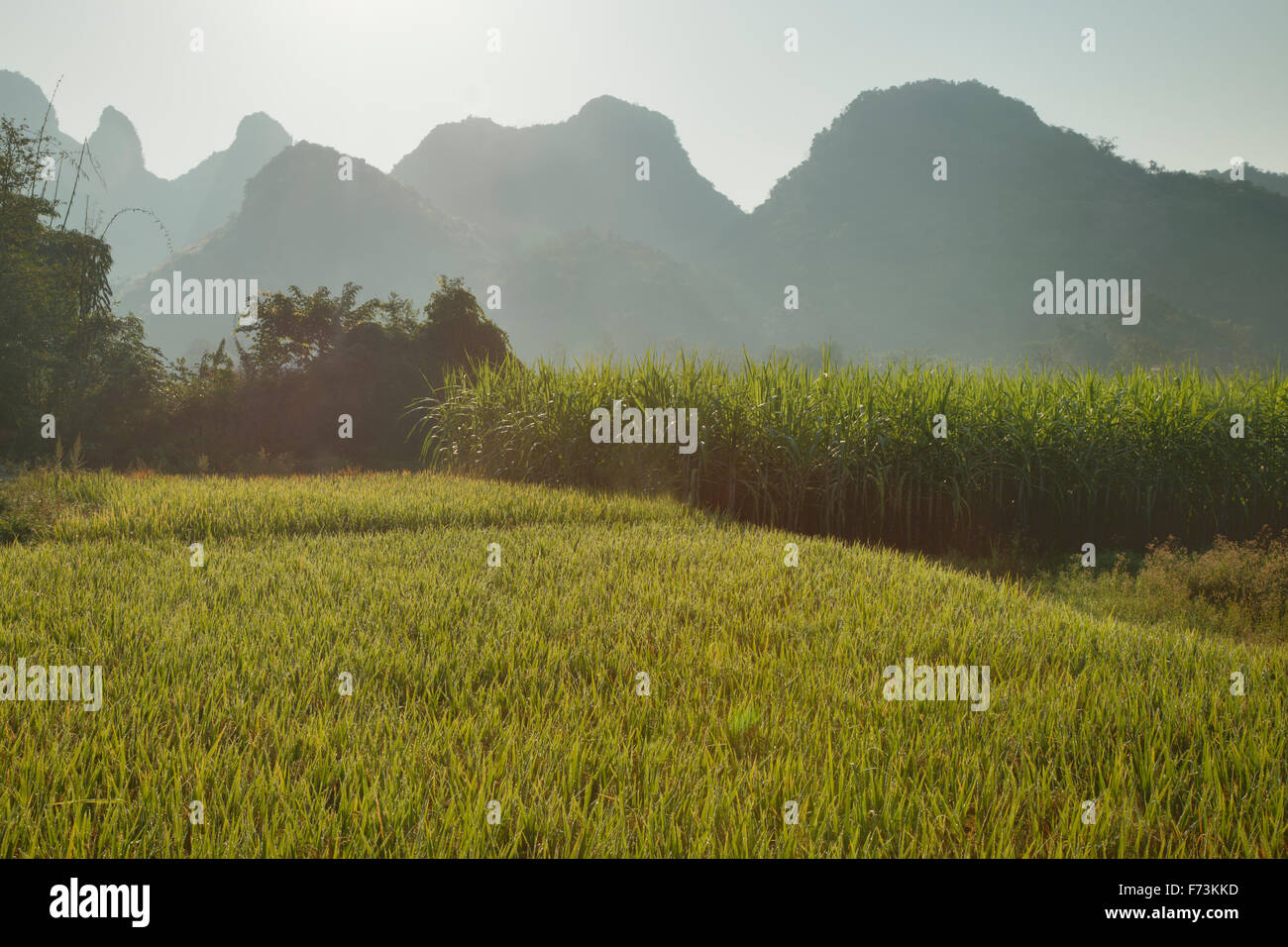 Rice Fields and Limestone Karst Formations Guilin Region Guangxi, China ...