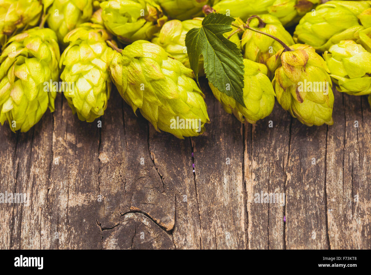 The hops heap Stock Photo - Alamy