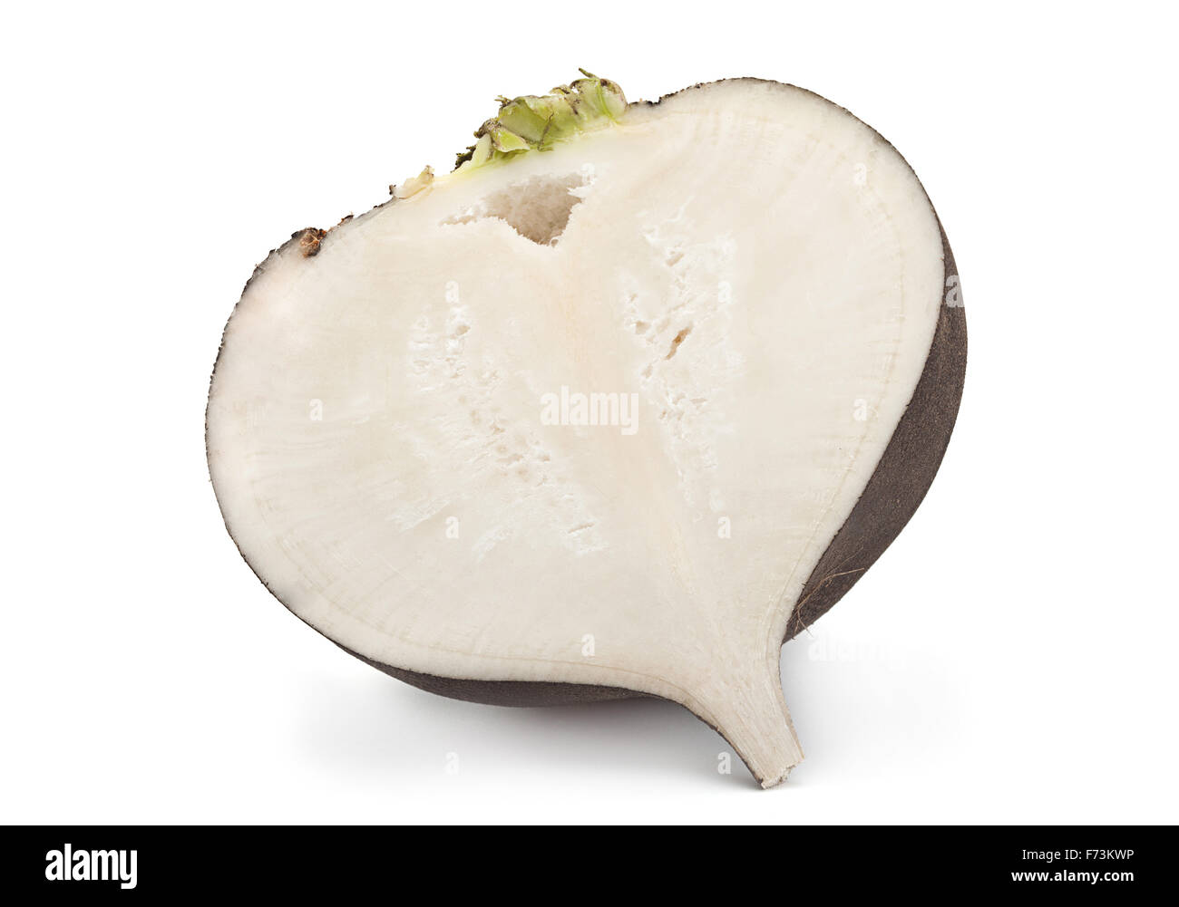 Black big radish slice vegetable closeup isolated on white Stock Photo ...