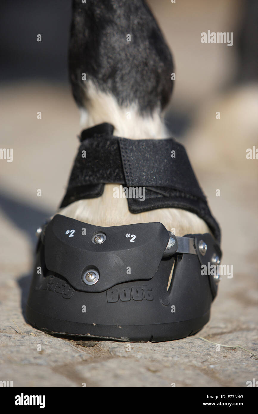 Hoof boot hi-res stock photography and images - Alamy