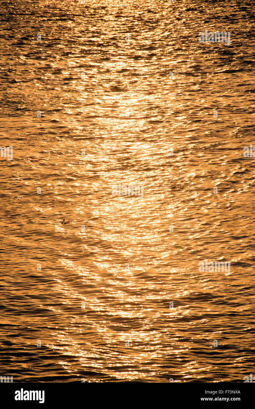 Golden sparkling water sea sun Stock Photo - Alamy