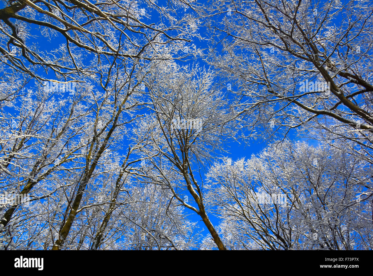 Horizontal format horizontal format landscape format hi-res stock ...