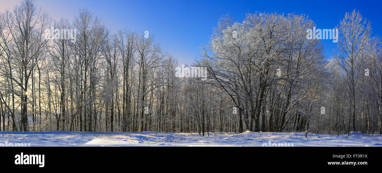Horizontal format horizontal format landscape format hi-res stock ...