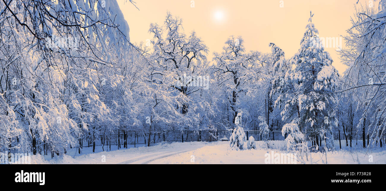 Horizontal format horizontal format landscape format hi-res stock ...