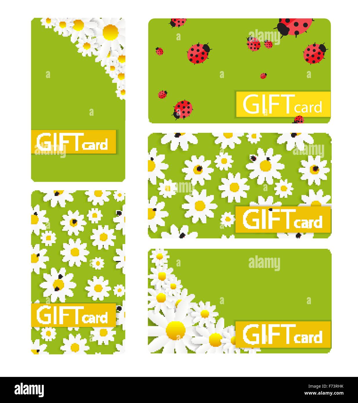 Abstract Beautiful Gift Card Design Set, Vector Illustration Stock ...