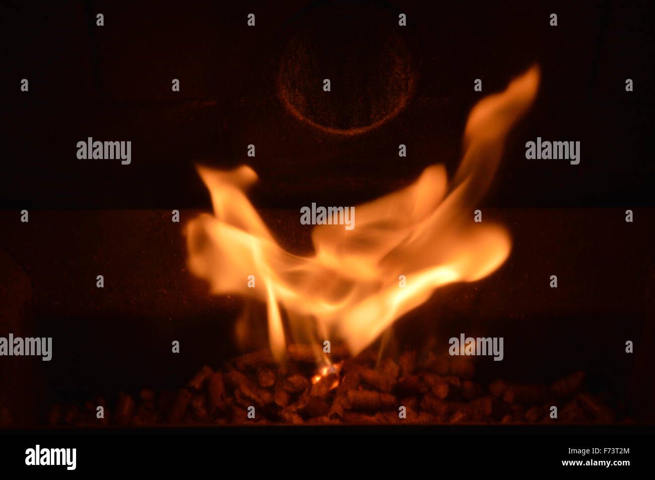 Pellets inside hi-res stock photography and images - Alamy