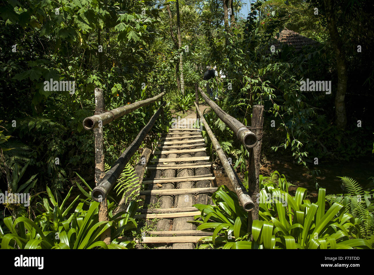 Wooden bridge, Club Mahindra, Madikeri Resort, Mahindra Resort, Coorg ...