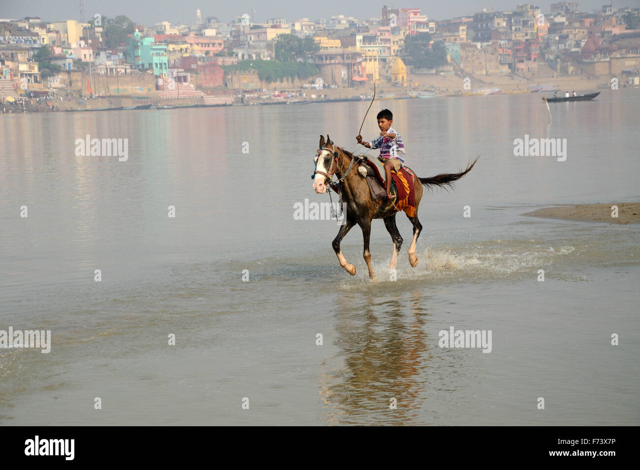 Boy riding running horse ganges river, varanasi, uttar pradesh, india ...